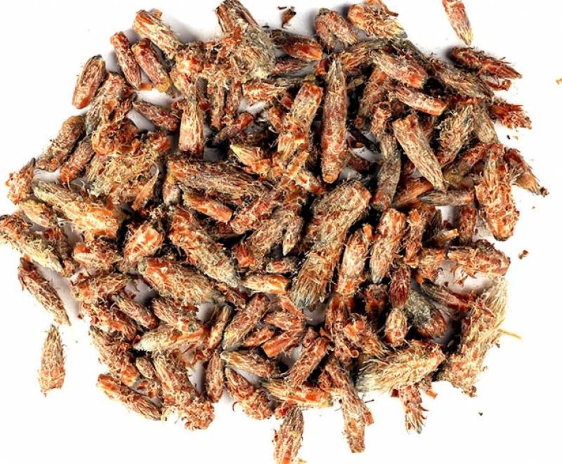 Bourgeon de pin Bourgeons de pin séchés Fabrication de - Etsy France