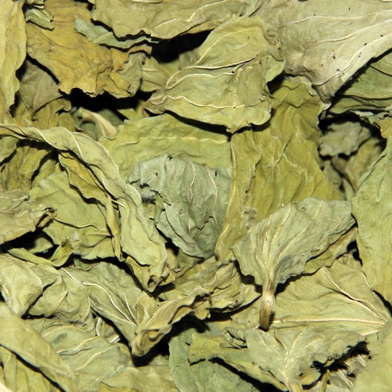 Dried Plantain Leaf: Organic Whole Plantago Major Herb - Etsy