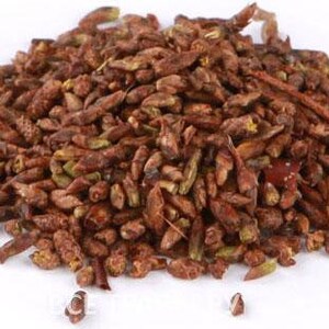 Birch Bud, Dried Birch Buds, Birch Tree Buds, Betula Pendula 100% ...