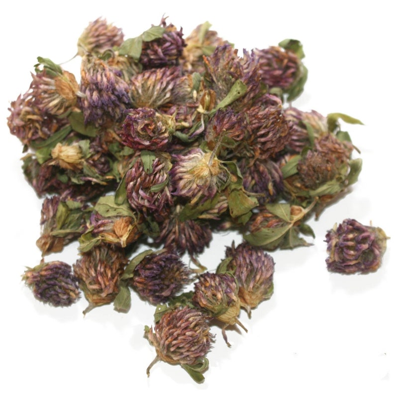 Red Clover Blossoms Dried Red Clover Blossoms | Etsy