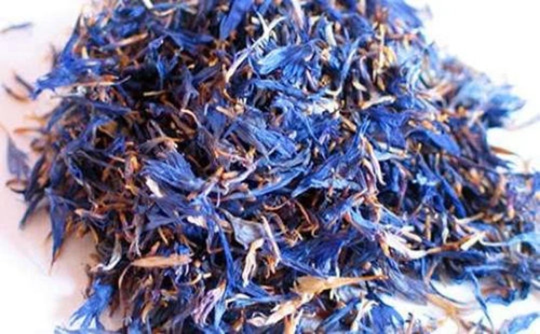 Dried Blue Cornflower Petals – Organic, Wild-harvested Flowers - Etsy