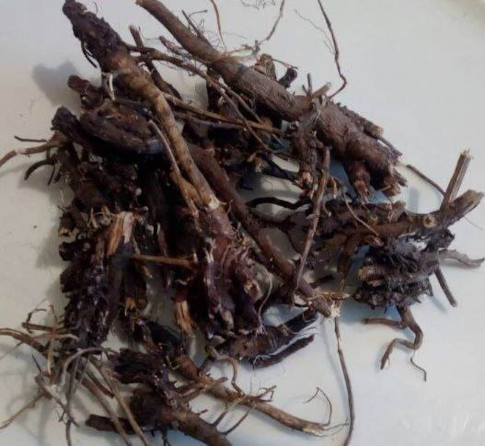 ECHINACEA Root dried Echinacea Purpurea Root | Etsy