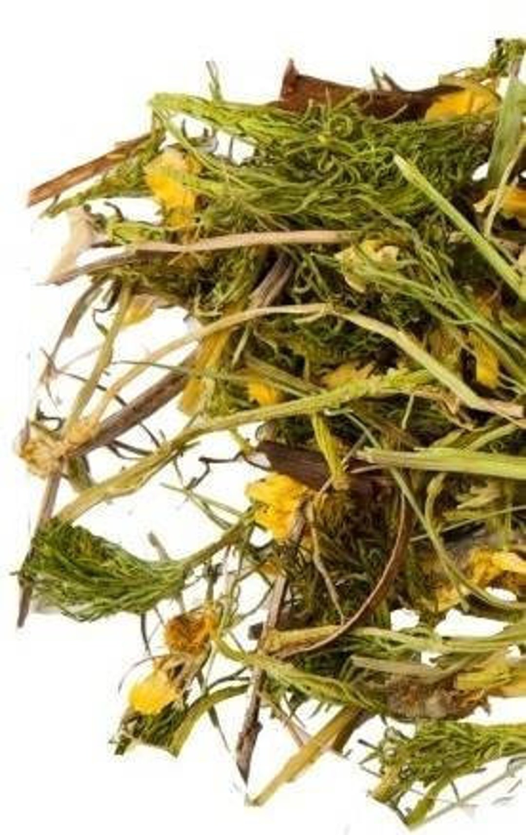 Dried Pheasant’s Eye Herb – Organic Adonis Flower, Mythical Yellow ...