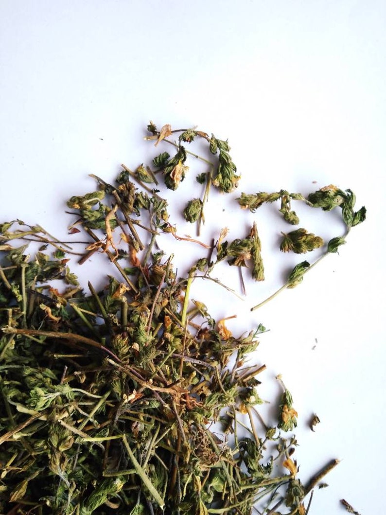 Dried Eyebright Herb Tea – Euphrasia Officinalis Loose Leaf, Natural ...