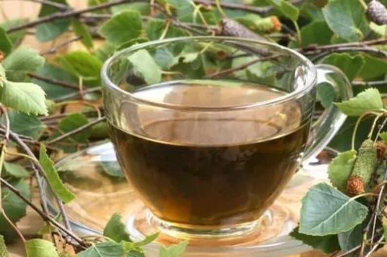 Birch Bud, Dried Birch Buds, Birch Tree Buds, Betula Pendula 100% ...