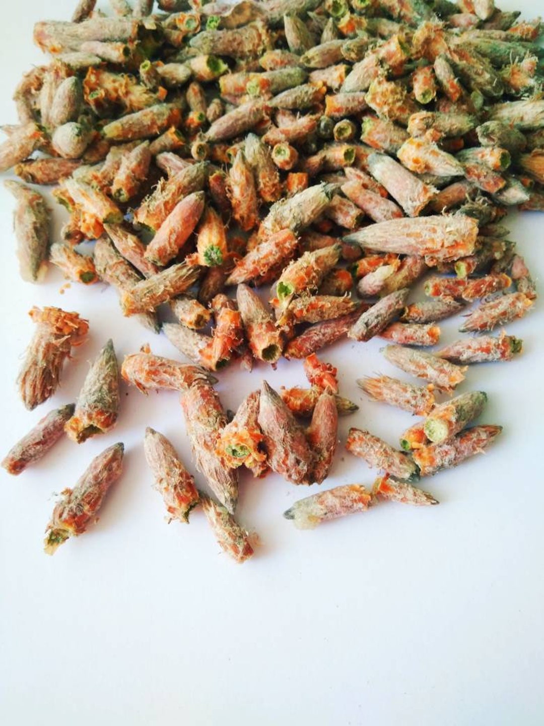 Bourgeon de pin bourgeons de pin séchés - Etsy France