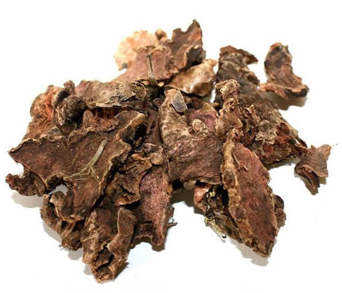 Rhodiola Rosea Root Dried RHODIOLA Root - Etsy