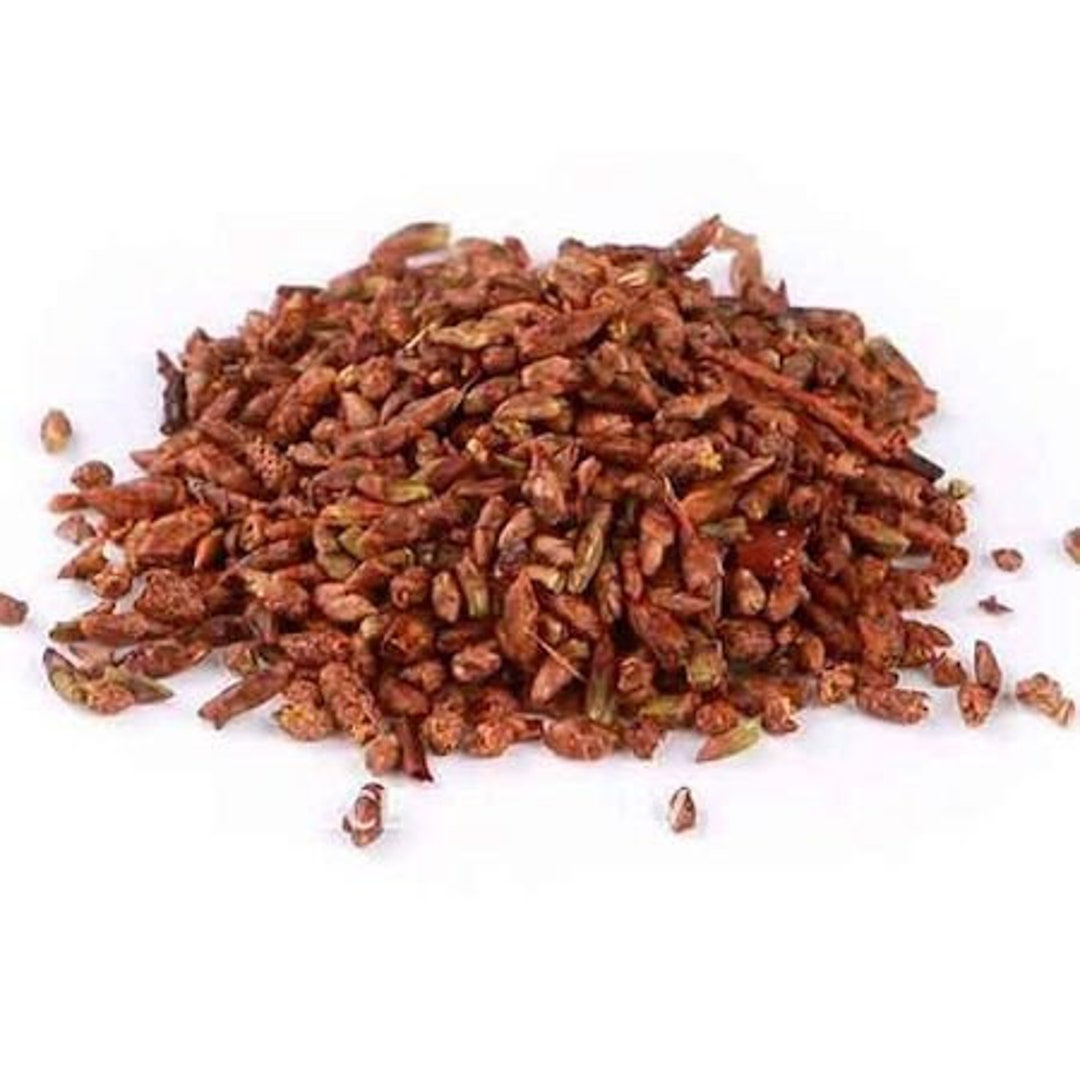 Birch Bud, Dried Birch Buds, Birch Tree Buds, Betula Pendula 100% ...