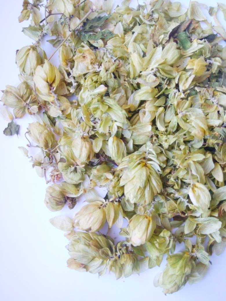 Dried Organic Hops Cones | Whole Hop Flowers for Herbal Tea, Sleep ...