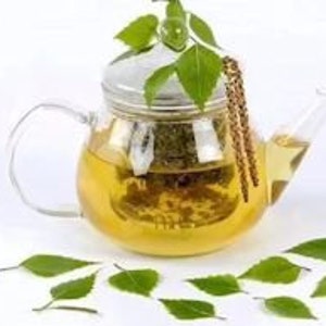 Birch Bud, Dried Birch Buds, Birch Tree Buds, Betula Pendula 100% ...