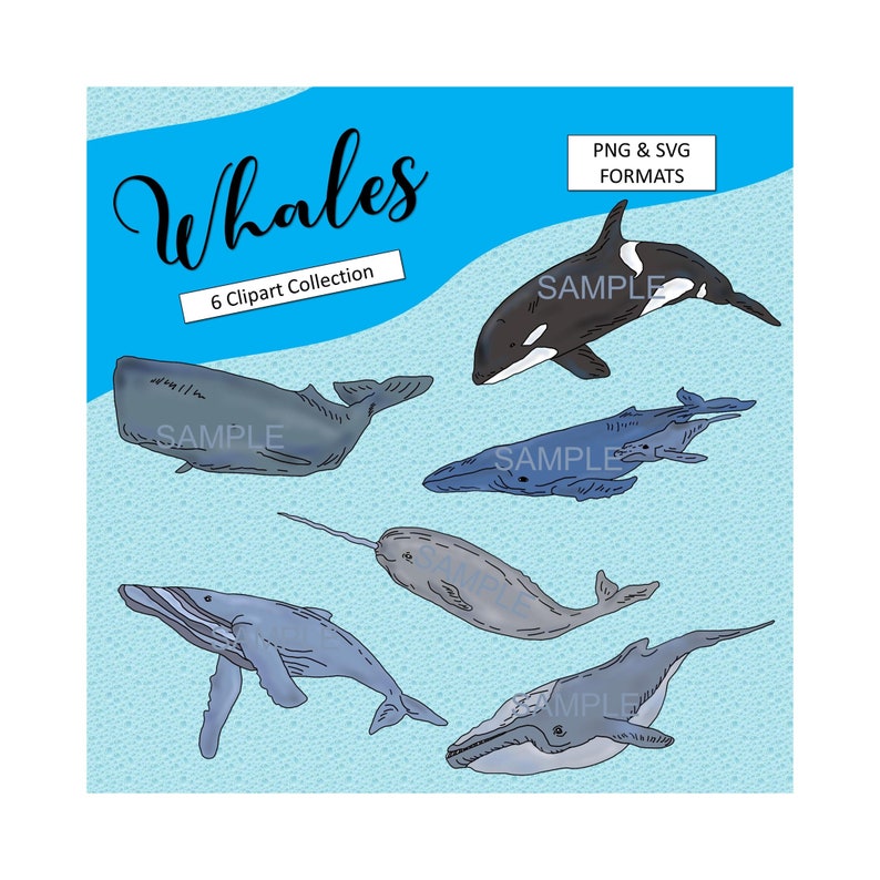 Whales SVG Printable Cats Clipart Kids Graphics Whale Elements Party ...