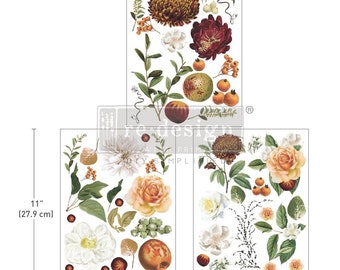 Rub on Transfers for Furniture, Redesign With Prima Transfers, DRIED ...