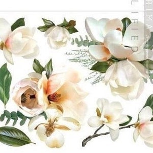 LA GRAN MAGNOLIA, Rub on Transfers for Furniture, Redesign With Prima ...