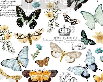 Butterfly Transfer | Etsy