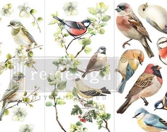 AMAZING SEA LIFE Transfer, Rub on Transfers, Redesign With Prima,small ...