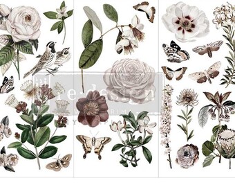 New! Rub on Transfers for Furniture SPRING SERENADE || Redesign With ...