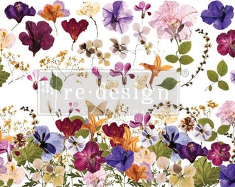 Rub on Transfers for Furniture BLOSSOM FLIGHT Redesign With Prima ...