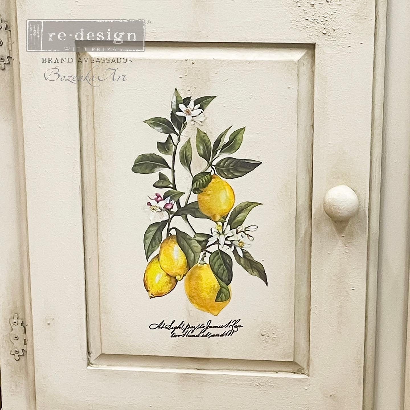 NEW Rub on Transfers LEMON TREE by Redesign With Prima Decor - Etsy
