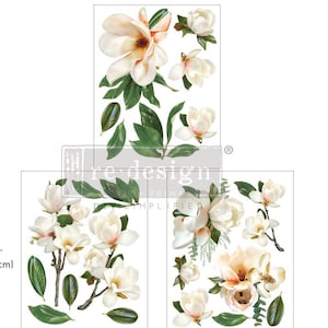 LA GRAN MAGNOLIA, Rub on Transfers for Furniture, Redesign With Prima ...