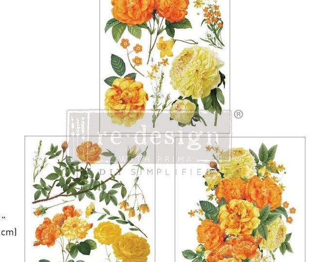 AMAZING SEA LIFE Transfer, Rub on Transfers, Redesign With Prima,small ...