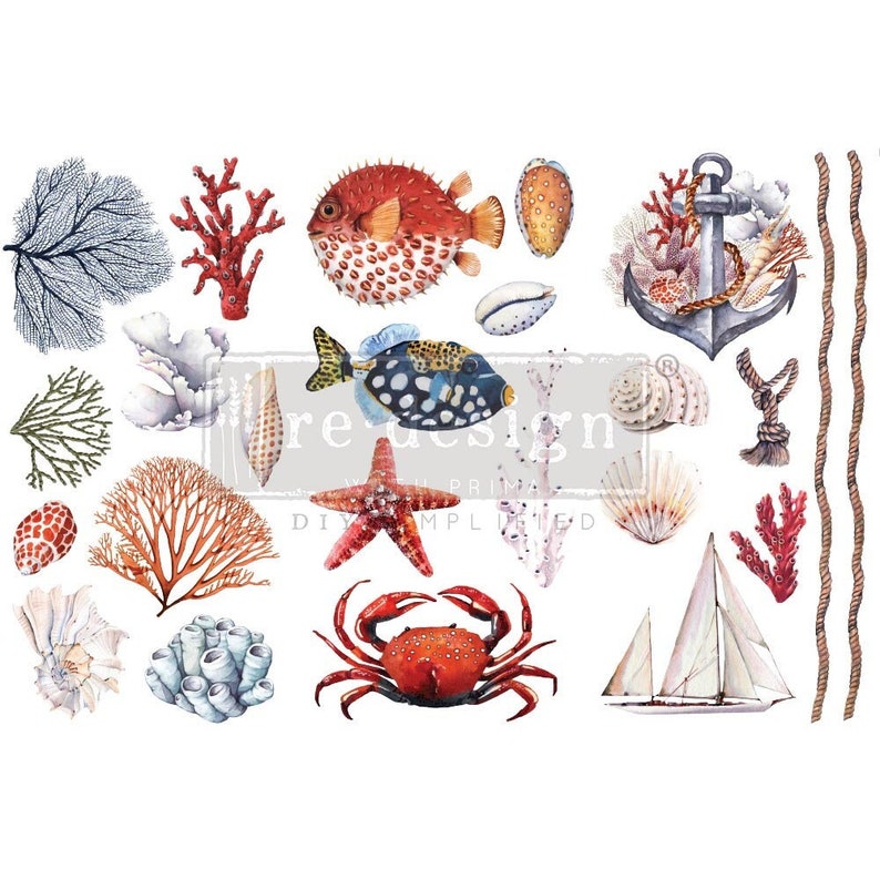AMAZING SEA LIFE Transfer Rub on Transfers Redesign With - Etsy
