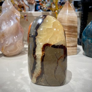 Septarian Crystal Dragon Eye Stone Healing Crystals Dragon 4 X 2 Yoga ...