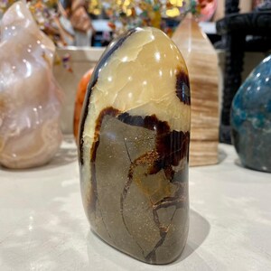 Septarian Crystal Dragon Eye Stone Healing Crystals Dragon 4 X 2 Yoga ...