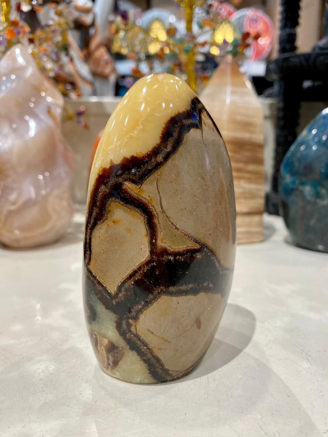 Septarian Crystal Dragon Eye Stone Healing Crystals Dragon 4” X 3” Yoga ...
