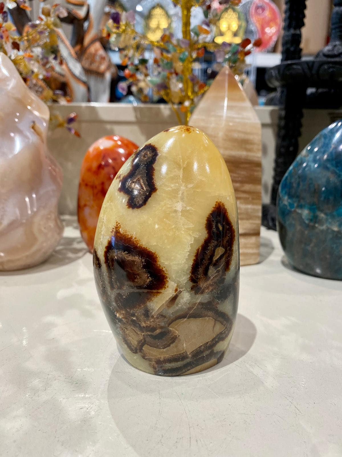 Septarian Crystal Dragon Eye Stone Healing Crystals Dragon 4 | Etsy