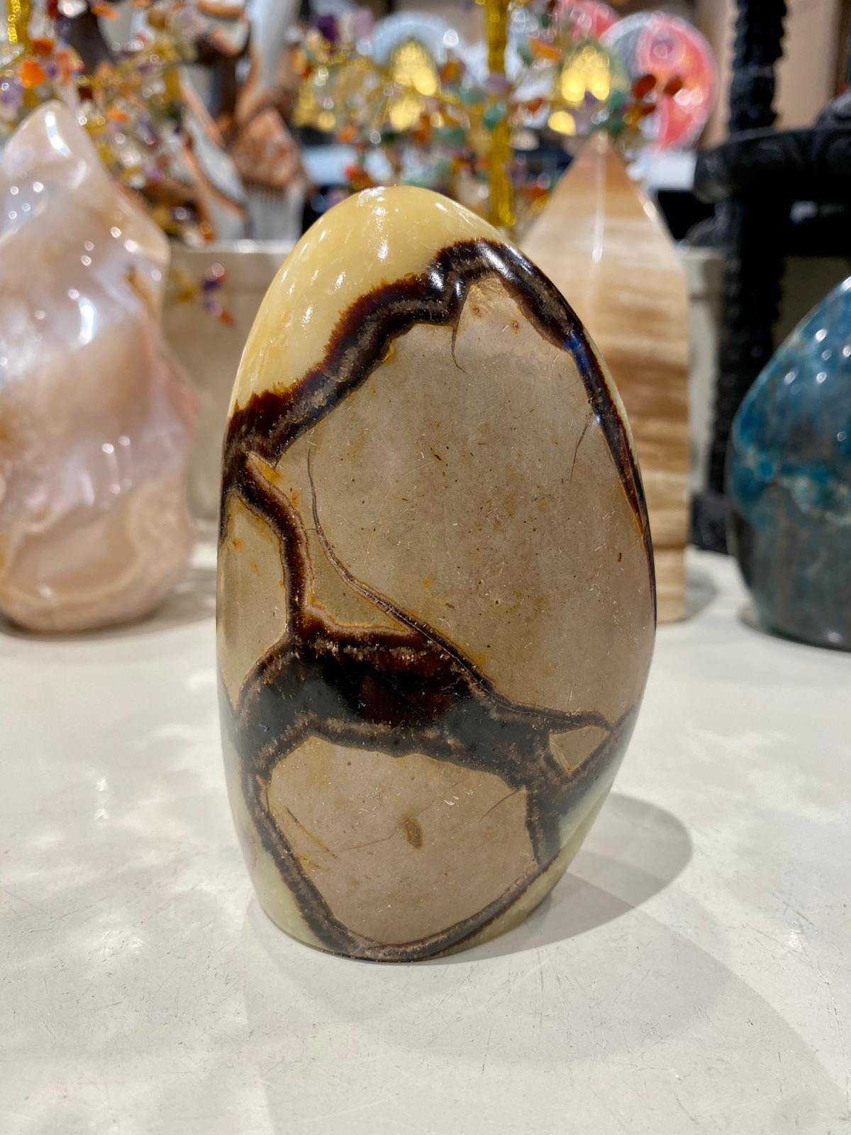 Septarian Crystal Dragon Eye Stone Healing Crystals Dragon 4 | Etsy