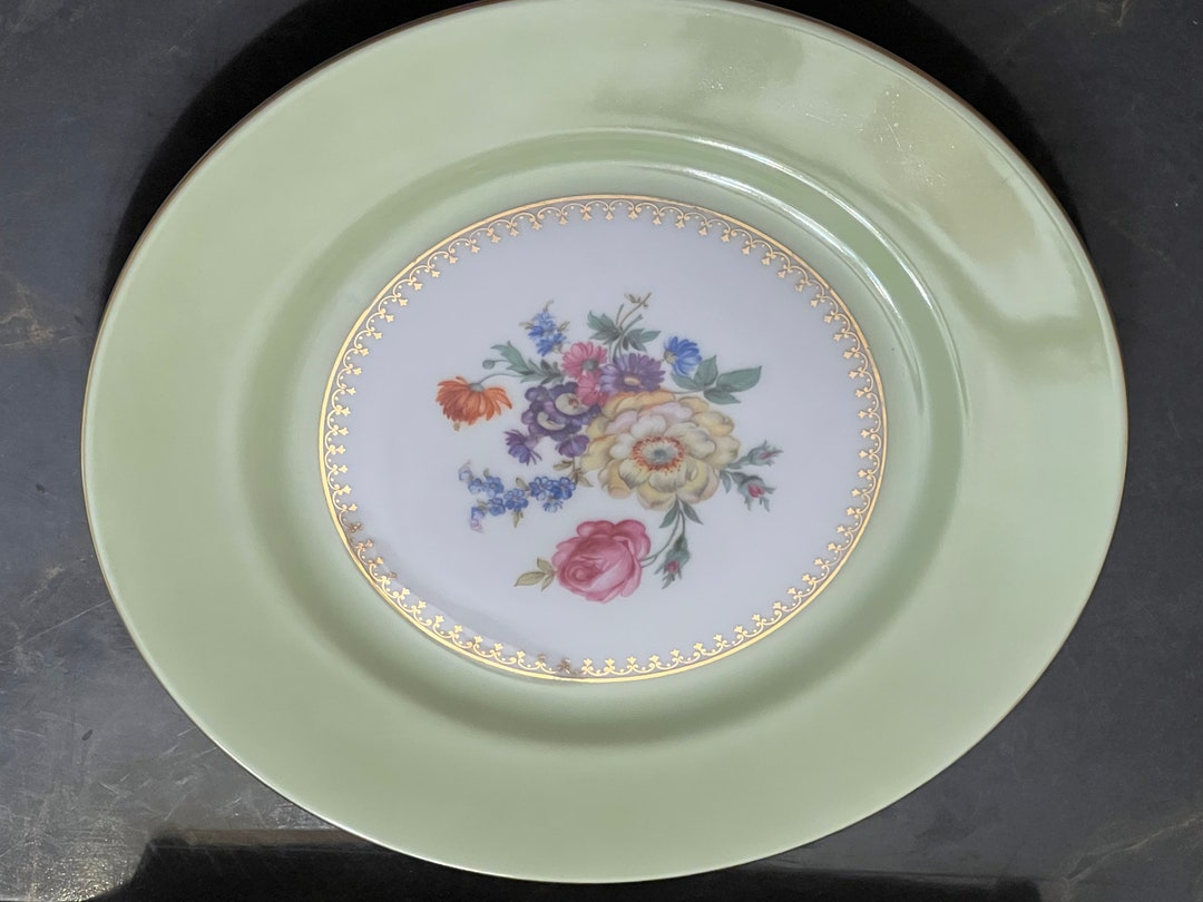 Puls Germany Large 11 Inch Porcelain Plate Green Border Floral Center ...