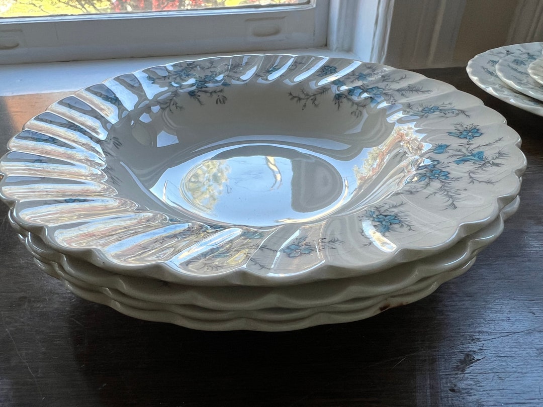 Myott England Forget Me Not Pattern Fine Staffordshire China - Etsy