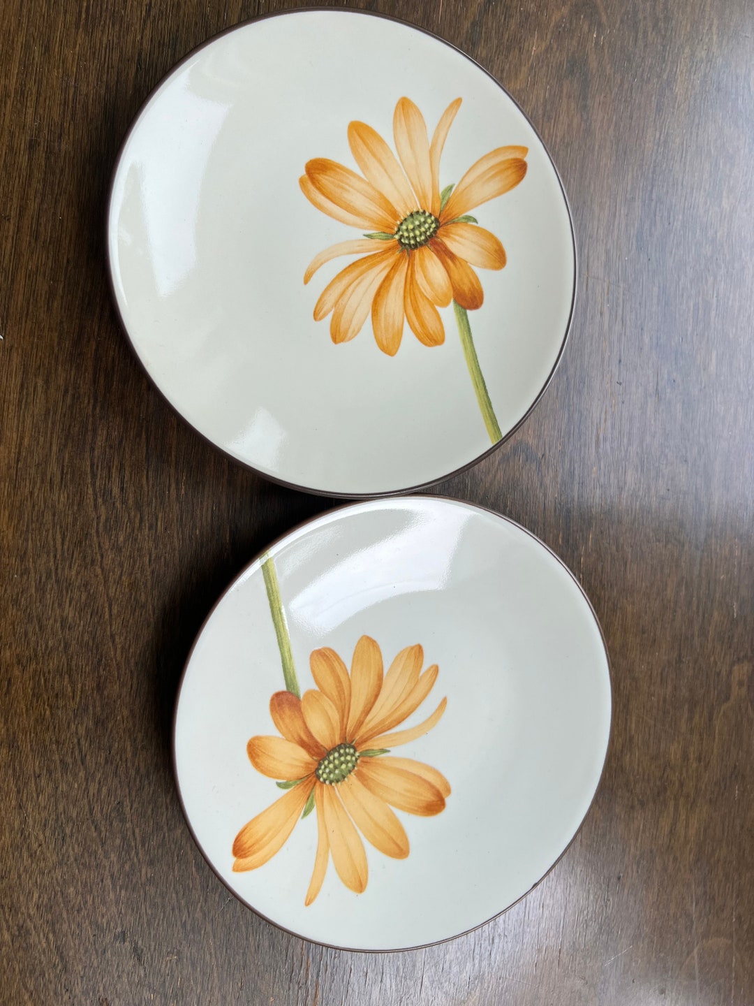 Noritake Colorwave Chocolate Appetizer Plates Daisy Set of 2 New - Etsy