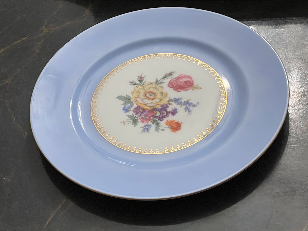 Puls Germany Large 11 Inch Porcelain Plate Blue Border Floral Center - Etsy