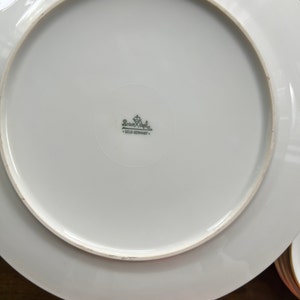 Vintage Set of Rosenthal Selb-germany Helena China US Zone - 12 Dinner ...