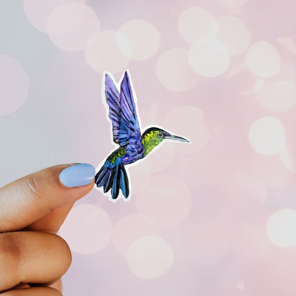 Hummingbird Sticker - Etsy