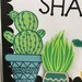 Cactus Themed Bulletin Board, Classroom Decor, Bulletin Boards, Pre ...