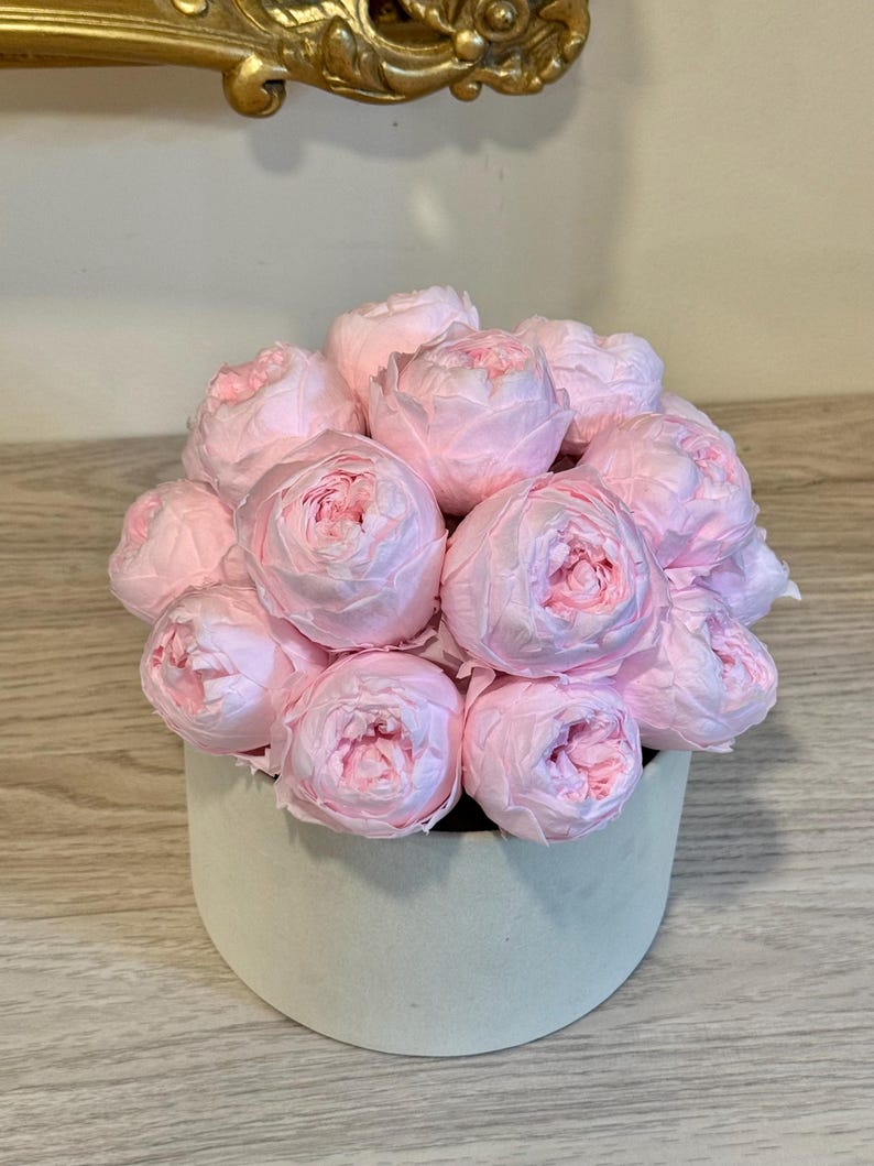 Preserved Peonies in Ivory Velvet Box: Forever Flowers, Valentine's ...
