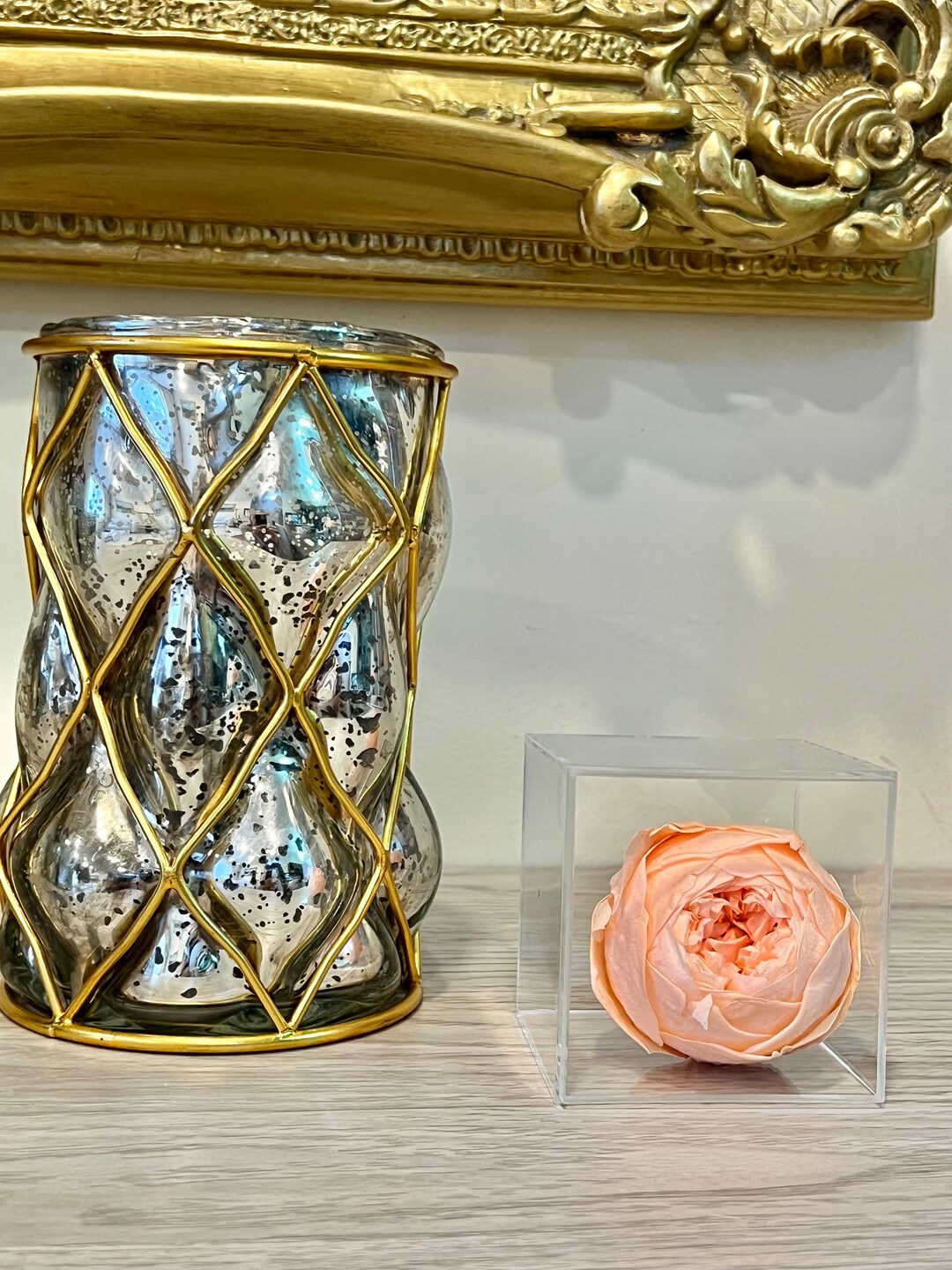 Single Preserved Peonies in a Acrylic Box Forever Peonies Infinity ...