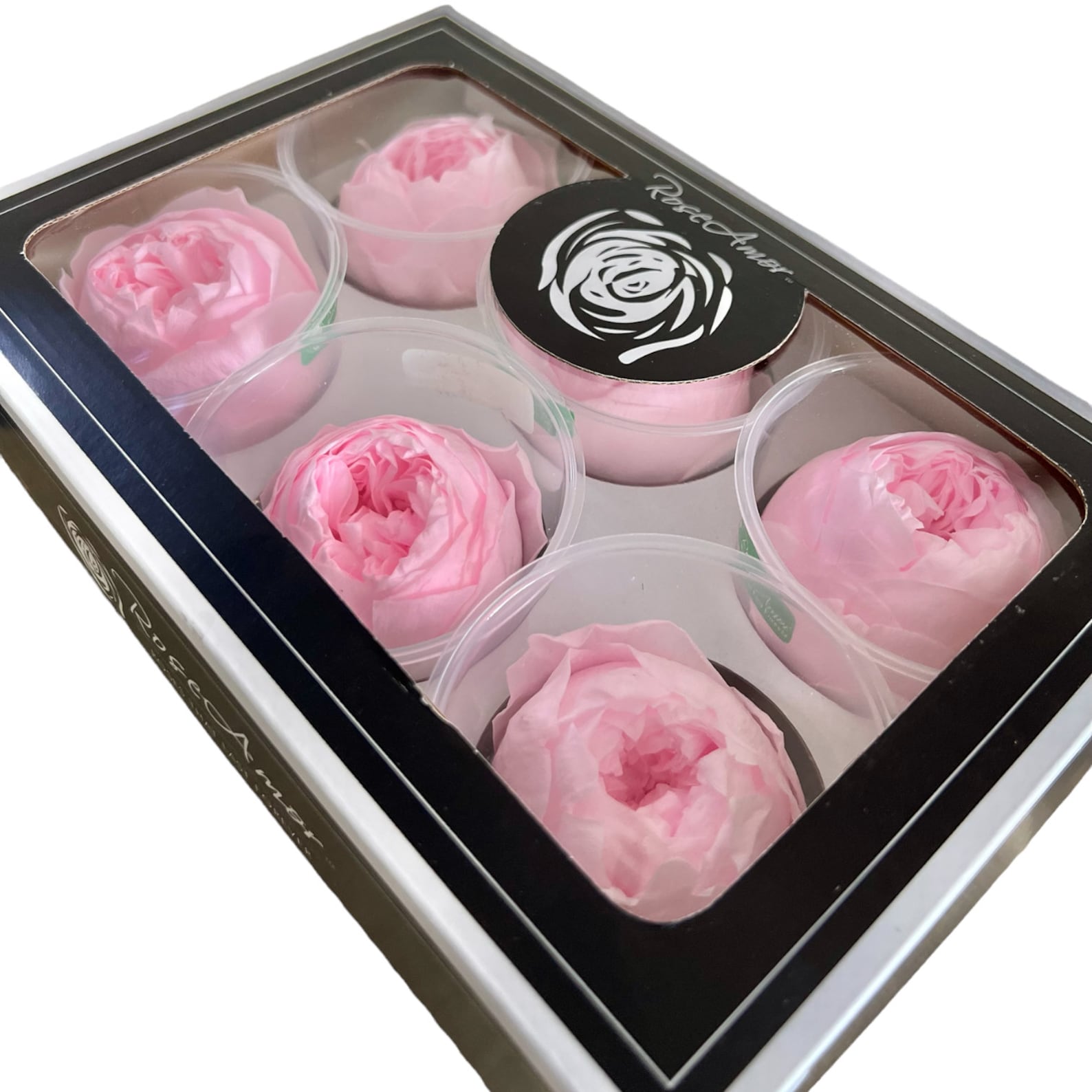 Wholesale Preserved Peonies: Ecuadorian XL Peonies - Etsy