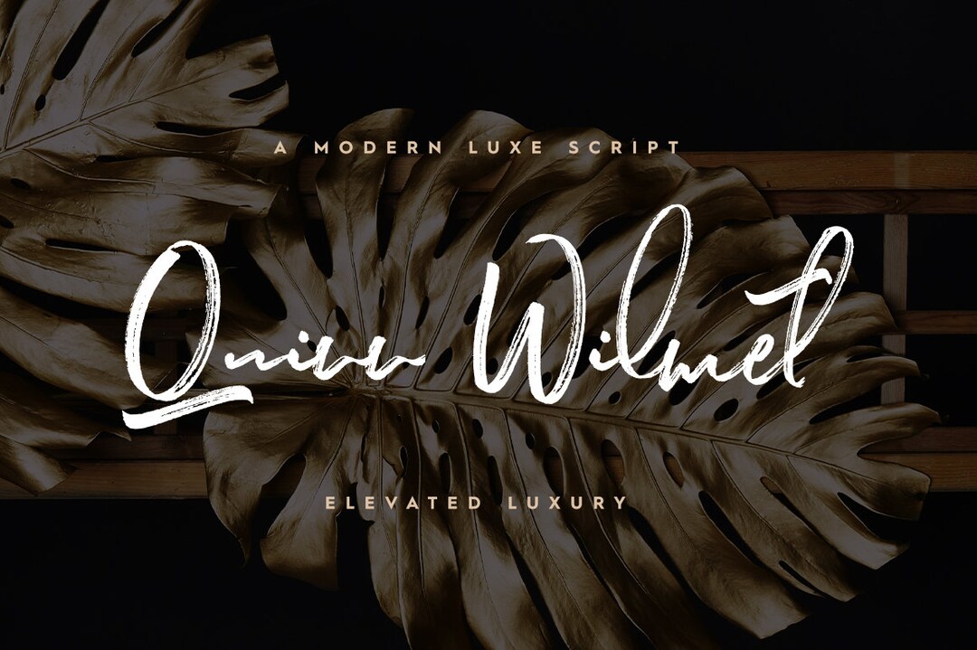 Quinn Wilmet Hand Drawn Brush Font Alts, Hand Drawn Font, Cricut Font ...