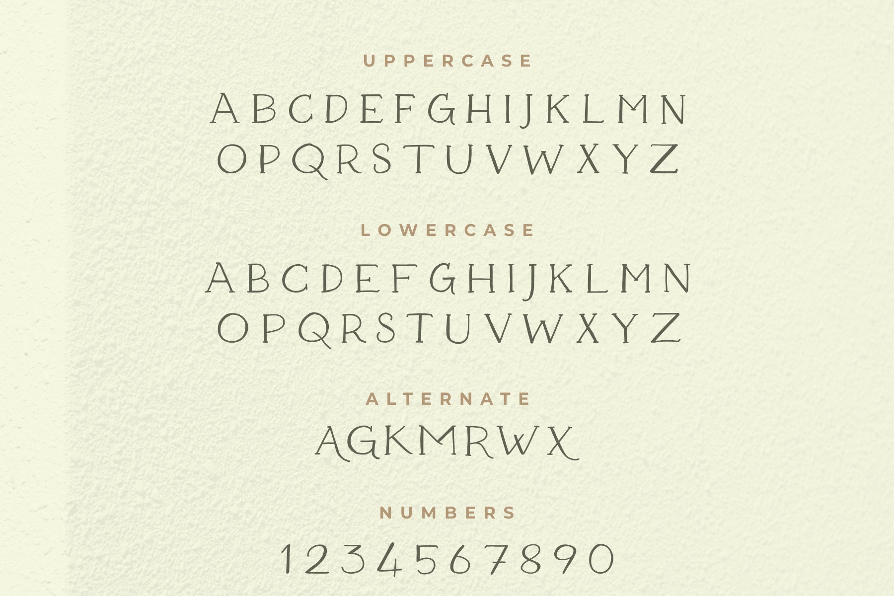 Botanical - Hand Drawn Serif Font + Illustrations, Farmhouse Font, Hand ...