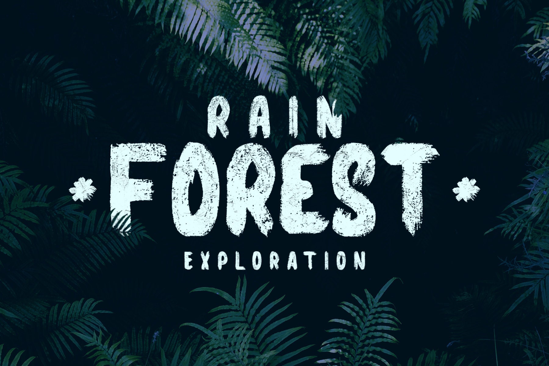 Discover - Bold Brush Font, Script Font, Hand Drawn Font, Cricut Font ...