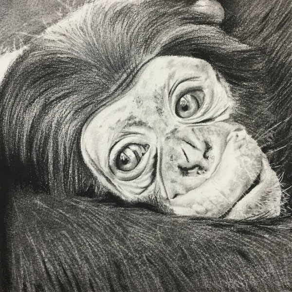 Art animalier - Etsy France