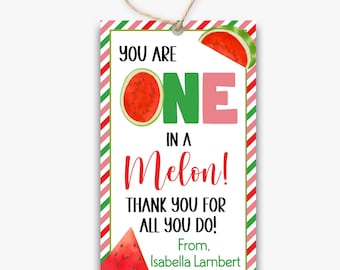 EDITABLE You Are One in a Melon Rectangle Appreciation Gift Tags ...