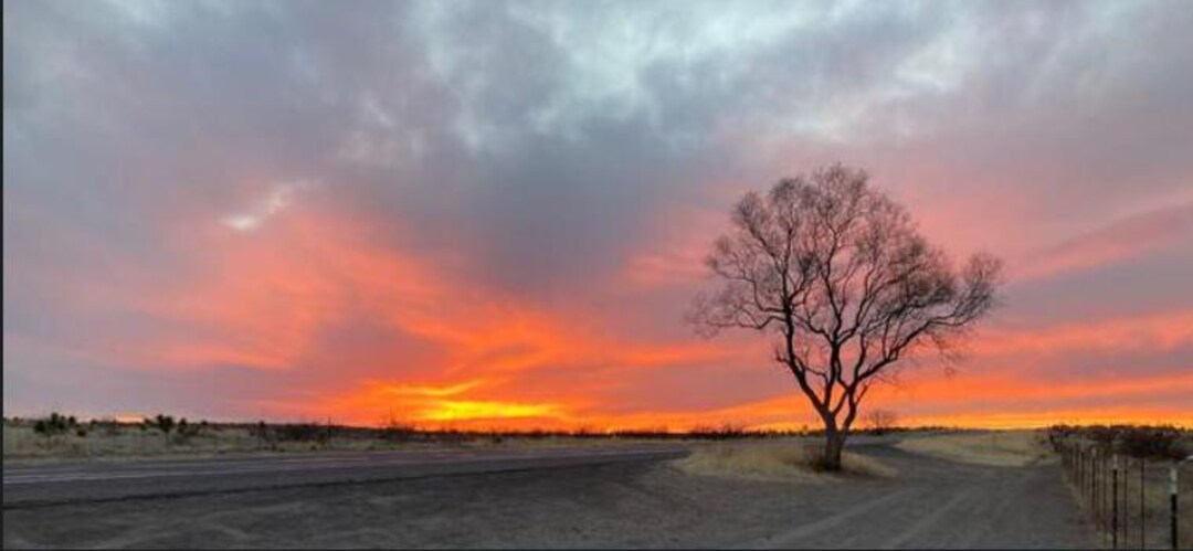 Lonely Tree, Texas Highway, Marfa Texas, Sunset, Orange, Solitary - Etsy