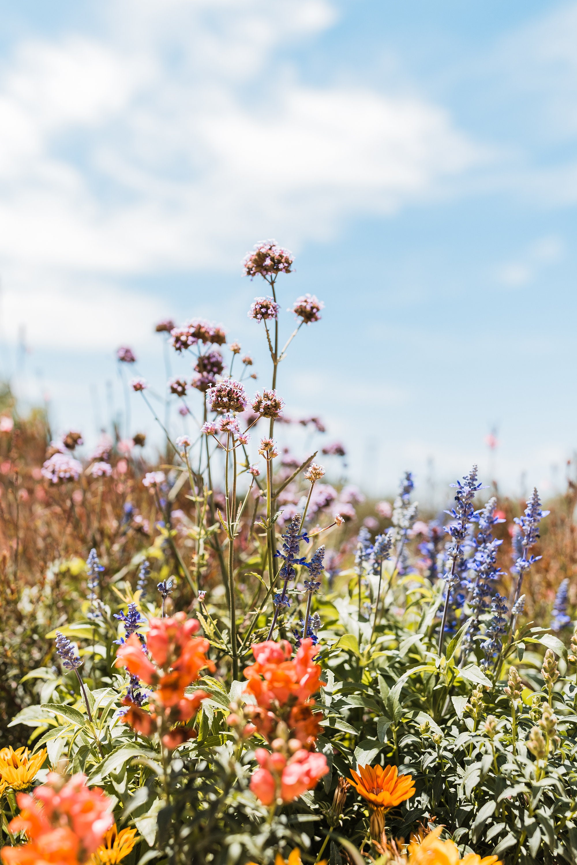 Spring Flowers, Downloadable Print, Floral PRINTABLE, Wall Art Small ...