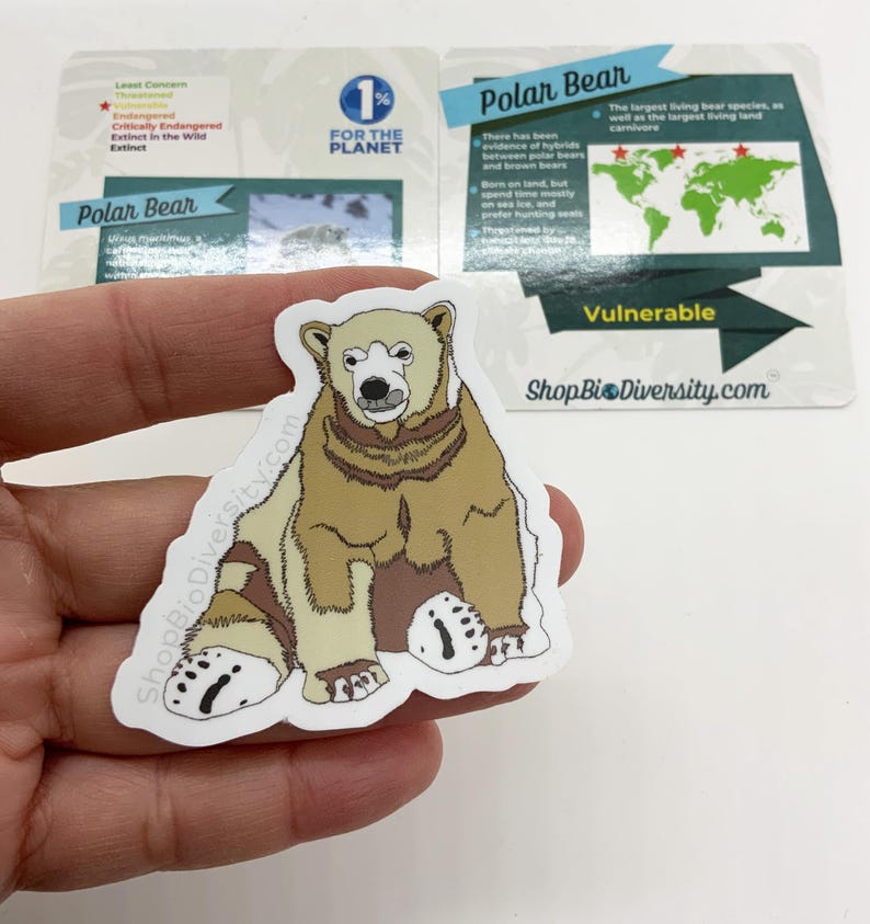 Polar Bear Vinyl Sticker: Arctic Wildlife Conservation Decal - Etsy