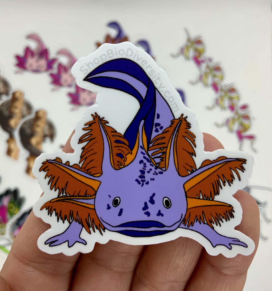 Purple Axolotl Vinyl Sticker - Cute Kawaii Waterproof Decal for Laptops ...