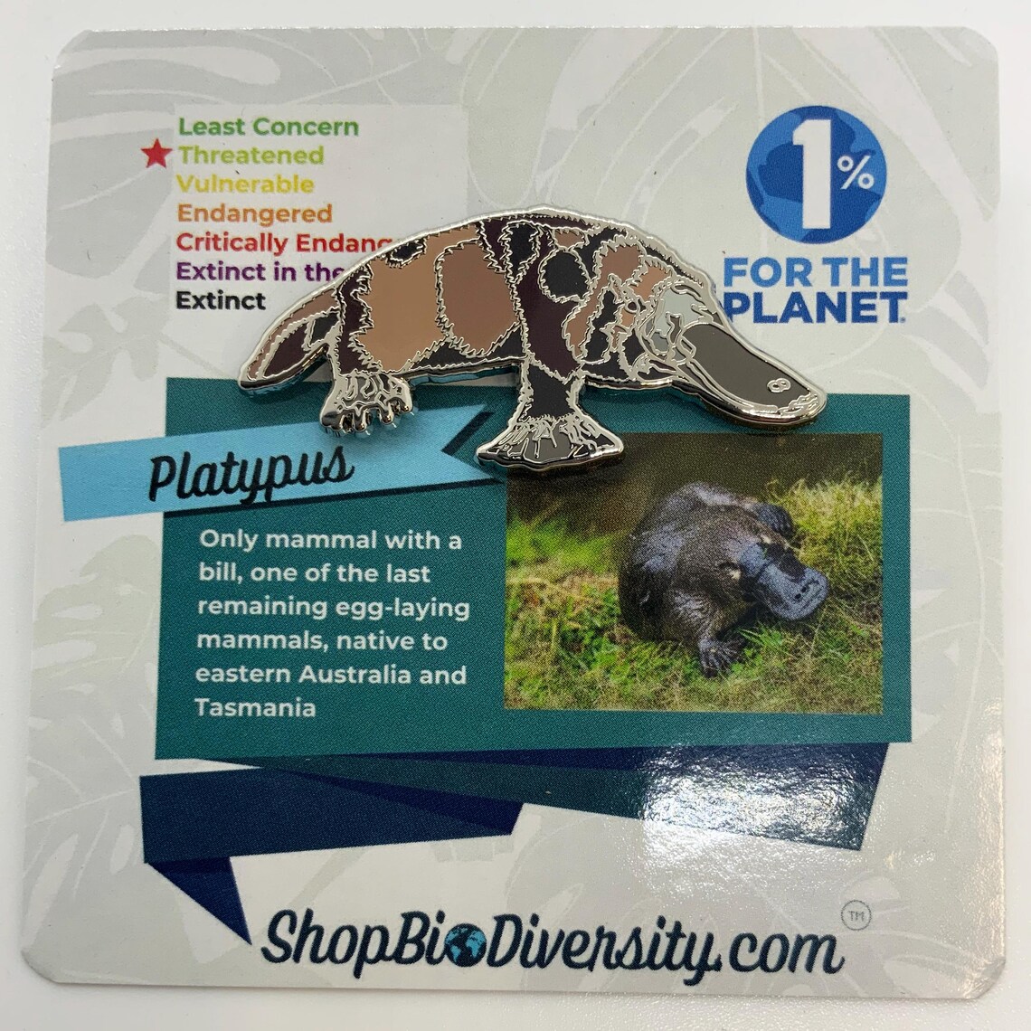Platypus Enamel Pin: Australian Wildlife Jewelry, Eco-friendly Gift - Etsy